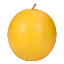 Melão Orange Kg